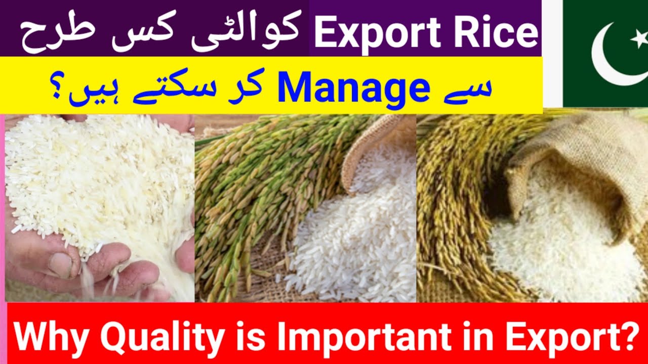 How to maintain Rice Export Quality and why it is important ? What is ...