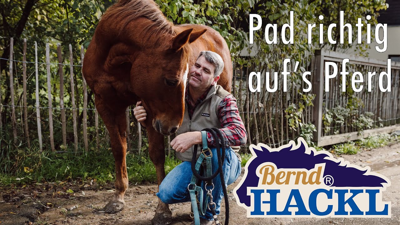 Pad richtig aufs Pferd I Bernd Hackl erklärt! 🐴 - YouTube