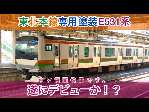 湘南色のE531系が遂にデビュー！？211系のあったかも知れない未来。【ウソ電画像集】 - YouTube