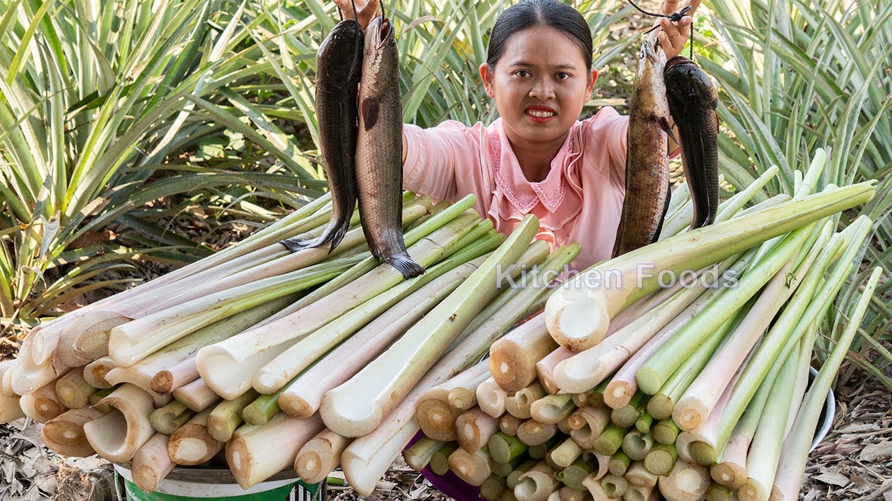 Cooking Wild Taro Tree Recipe that Harvest From the forest at my ...