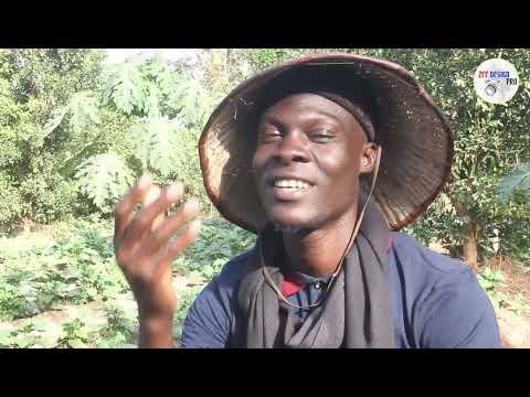 La voix du Peuple un fruit de l'uvs lors de la visite de la zone sud à ...