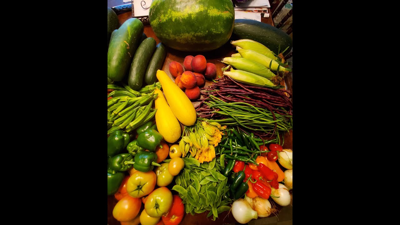 Okra is a fruit?! - Video24 - YouTube