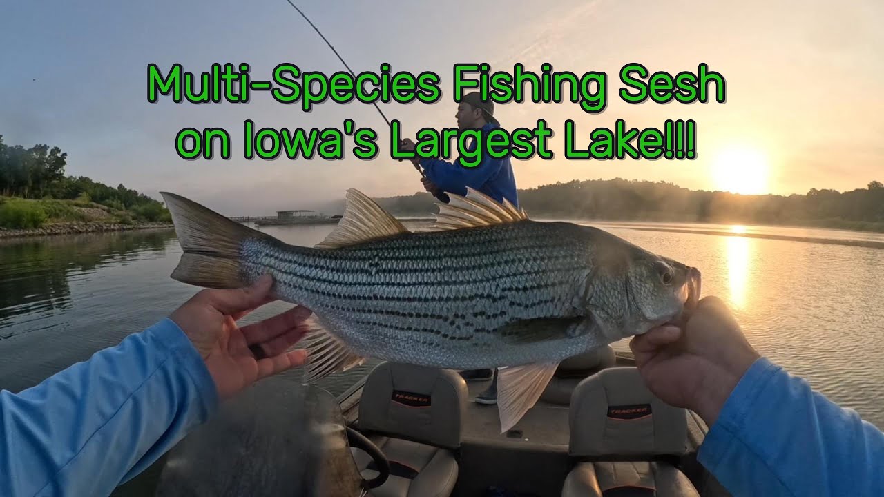 Iowa's Greatest Lake Has BIG Fish!!! - YouTube
