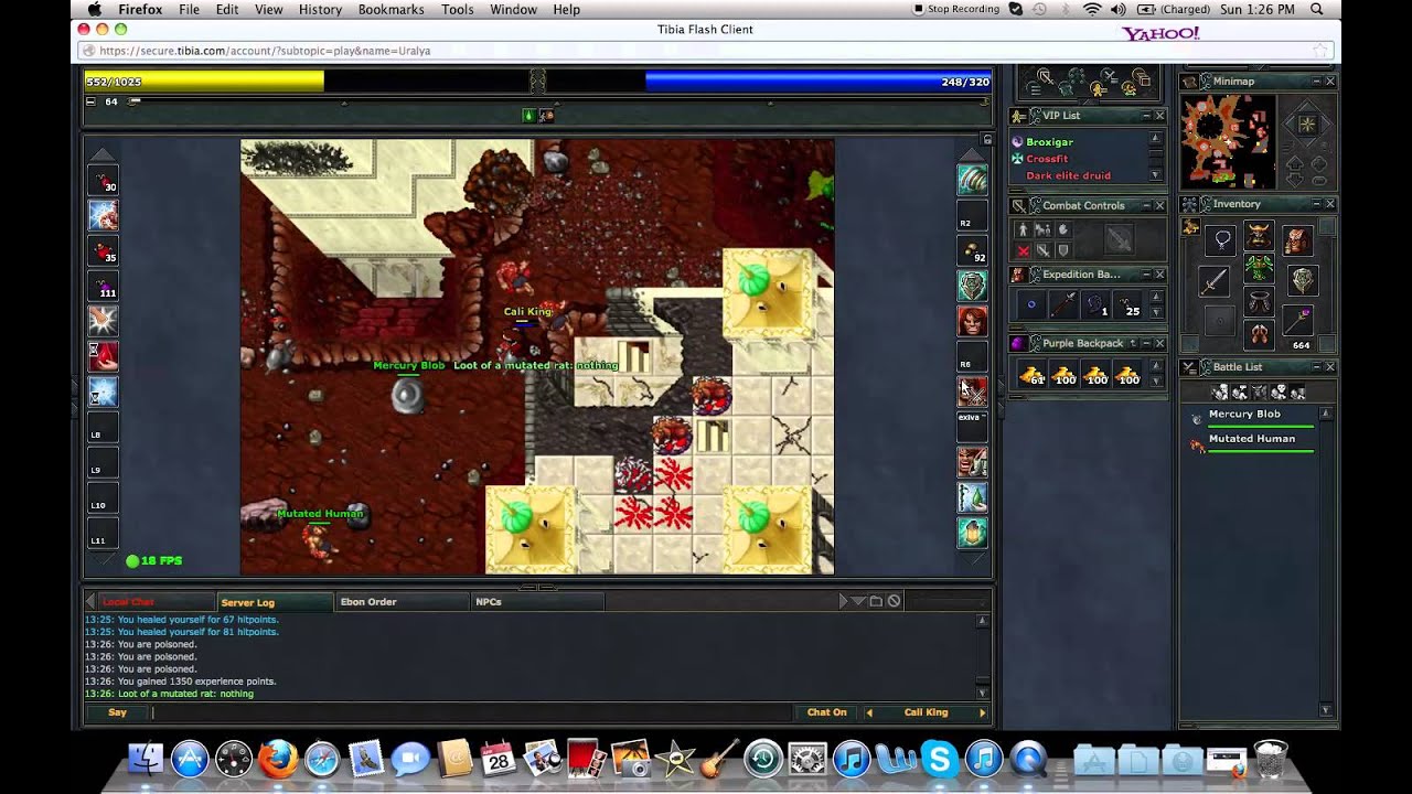Tibia - Update + Level - YouTube