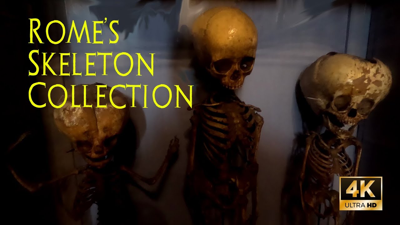 The Vatican's skeleton collection. - YouTube
