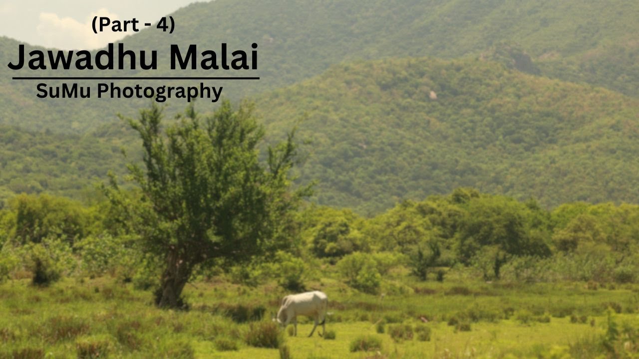 Jawadhu malai Part 4 - YouTube