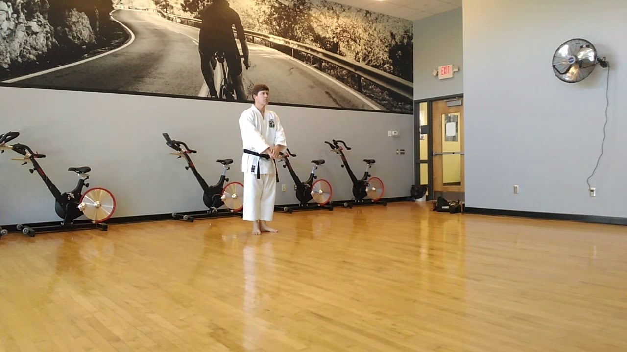 Isshin-ryu karate Seiunchin kata (一心流 空手 随運勁) - YouTube