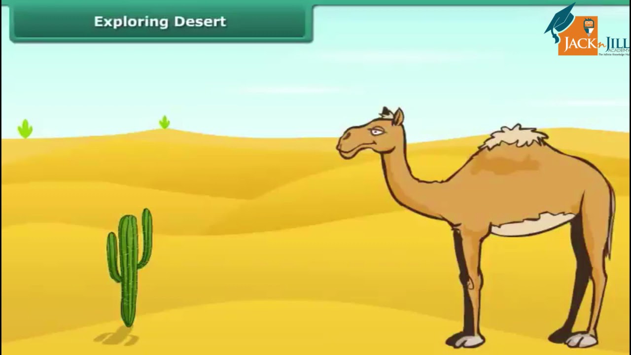 THE LIVING ORGANISMS CHARACTERISTICS AND HABITATS || PART 1 || SCIENCE ...