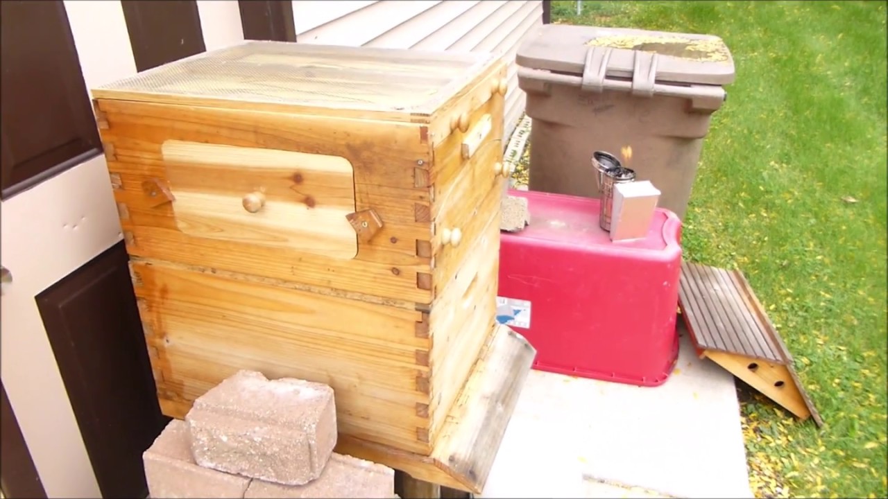 1st Year Honey Bee Hive Flow Frame Harvest October 2018 - YouTube