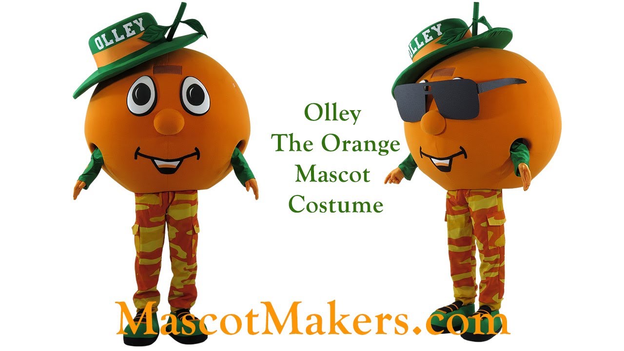 Orange Fruit Mascot