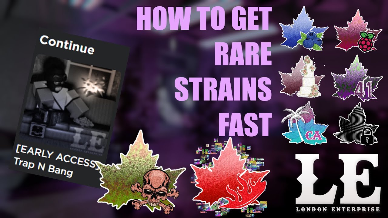 How to get RARE STRAINS FAST in TRAP N BANG Roblox - YouTube