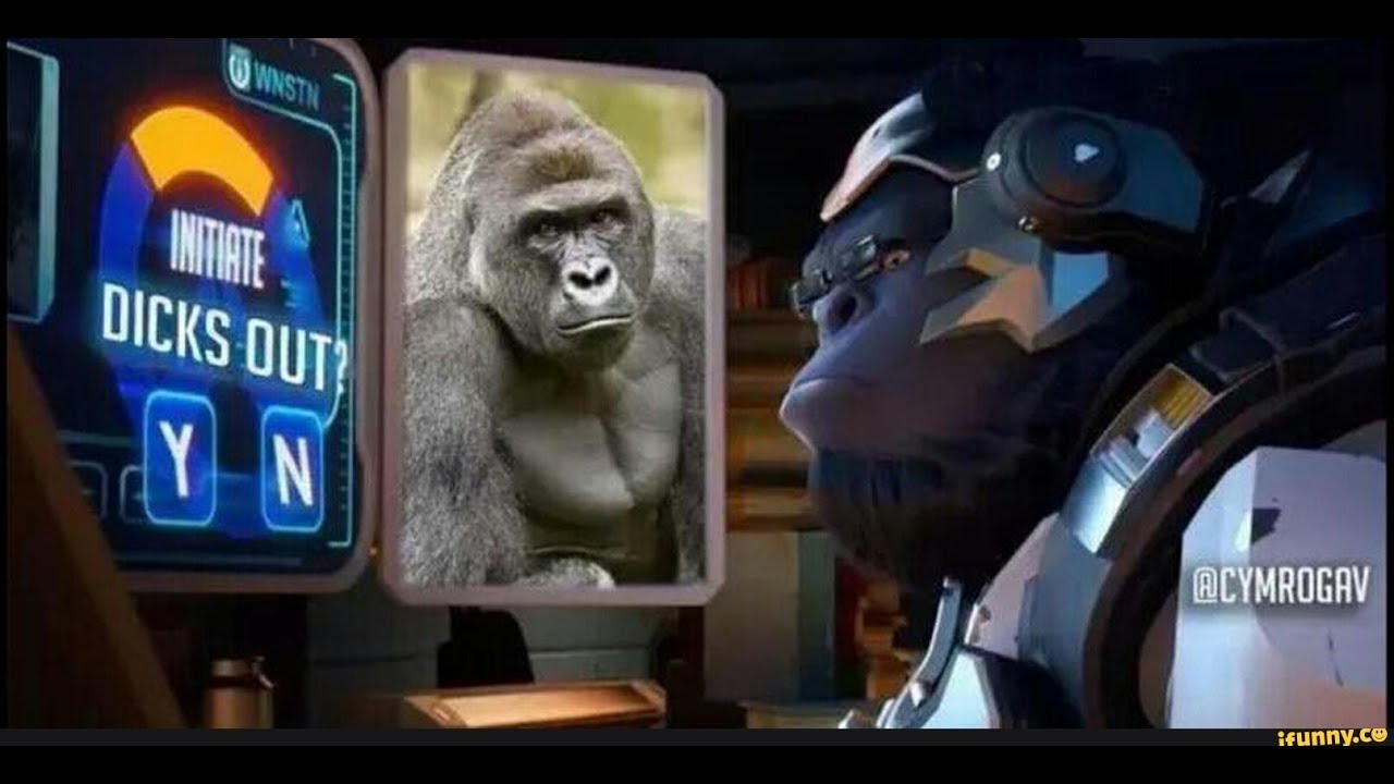 Harambe Fly's Through the Sky!! - YouTube