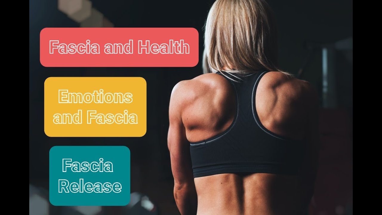 Fascia's Role in Health. Fascia Release and Self Healing - YouTube