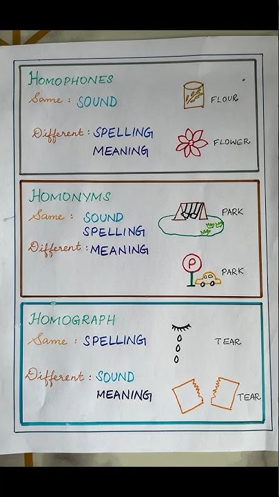 DIY English Grammar Chart | Homophone Homonym Homograph | Basics Grade ...