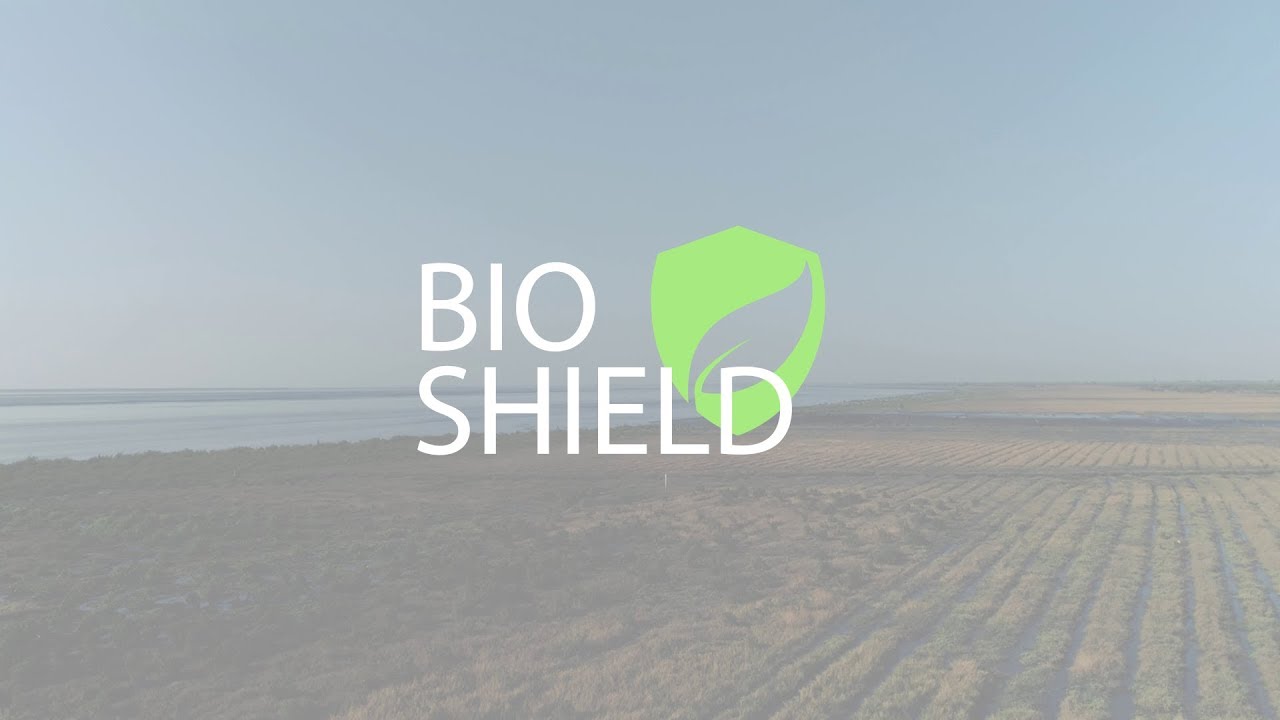 Adani Group | Project Bioshield | #WorldEnvironmentDay - YouTube