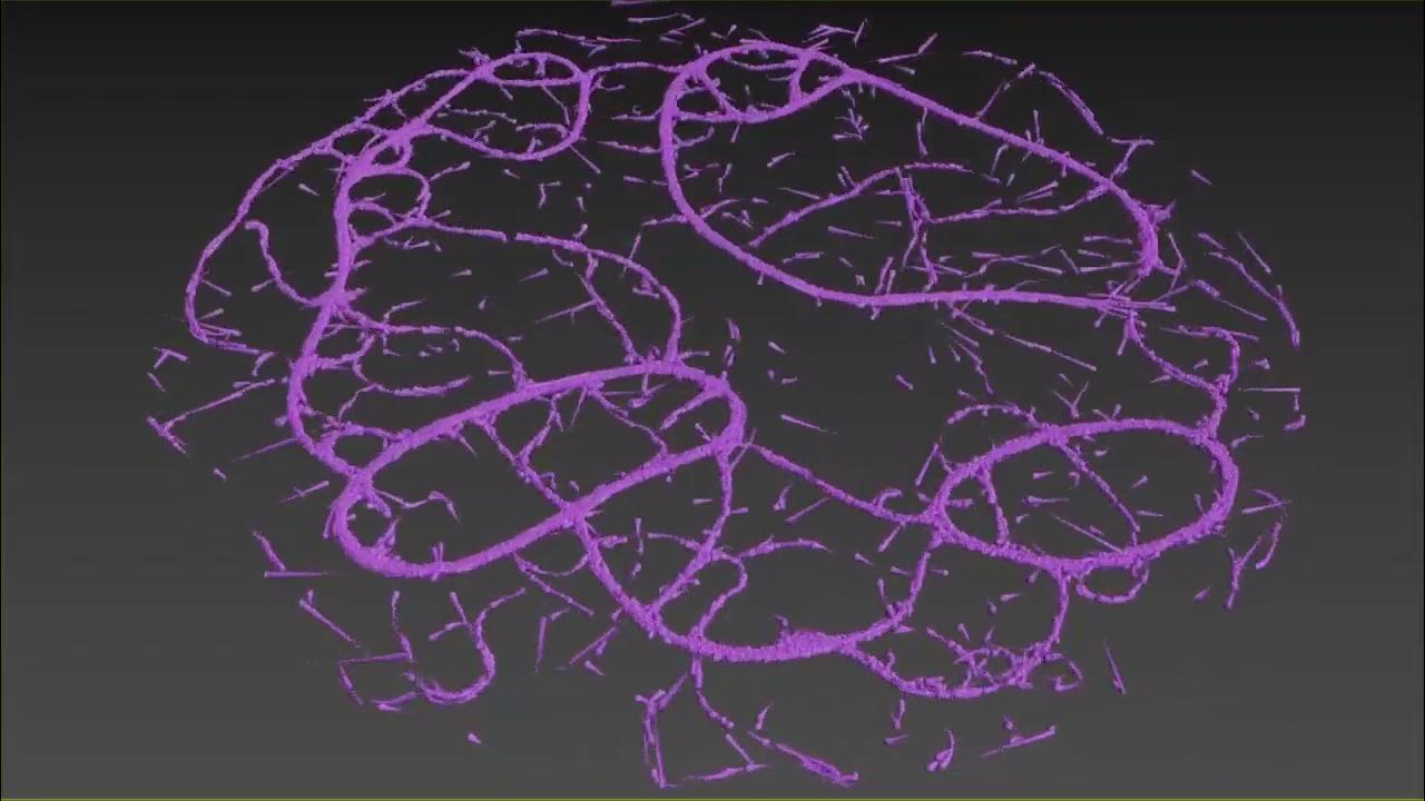 Slime Simulation - TyFlow - YouTube