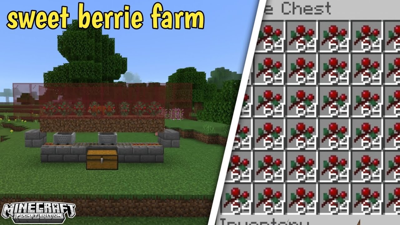 !!Minecraft new sweet berrie farm 1.19 in pocket edition(mcpe, pe ...