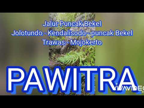 Puncak Bekel, jalur Jolotundo - kendalisodo, pegunungan penanggungan ...