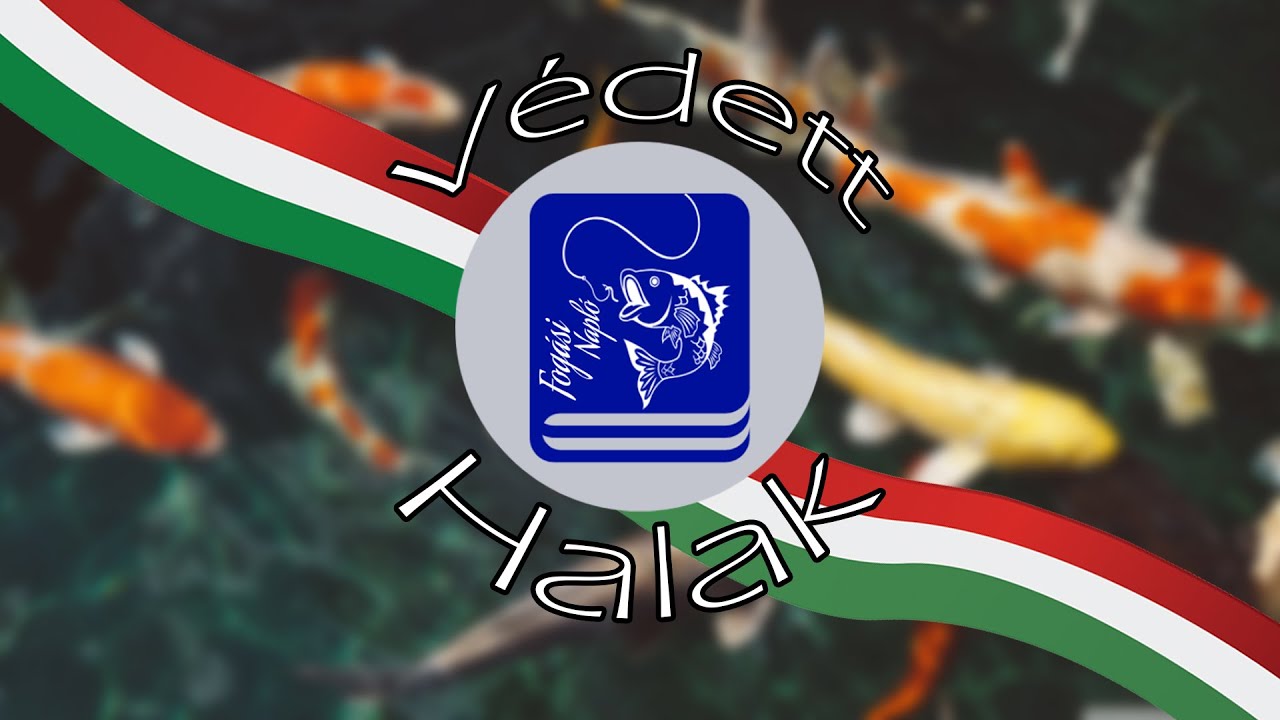 Magyarország Védett Halai | 2.rész - YouTube