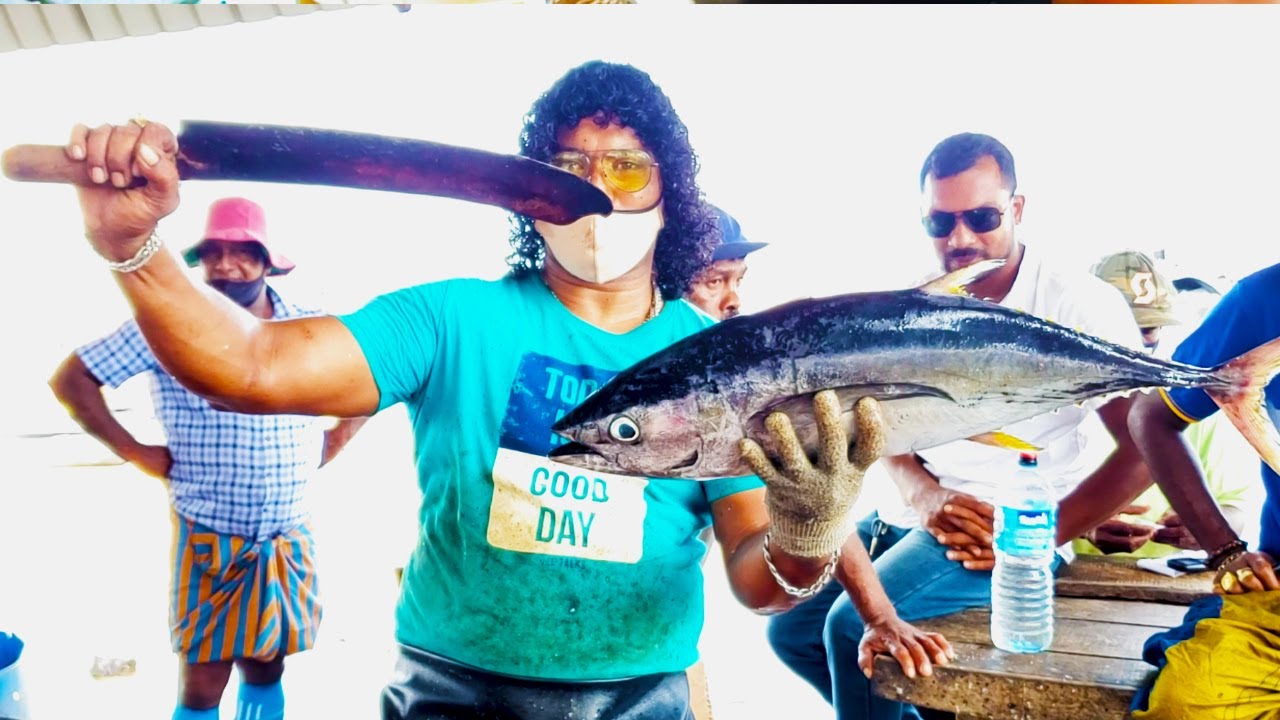 Yellow Fin Tuna Cutting | Fish Cutting Skills Sri Lanka | Best Sea Food ...