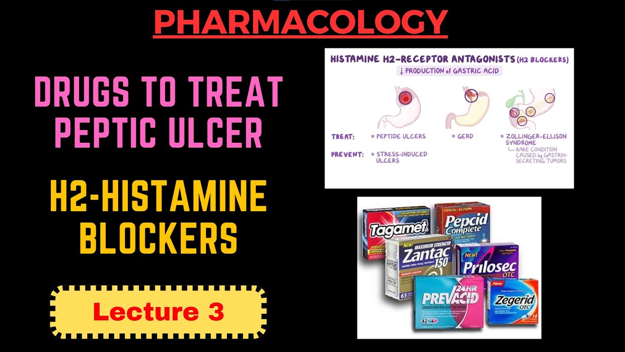 H2-Histamine Antagonists - GIT Pharmacology - Drug to treat Peptic ...