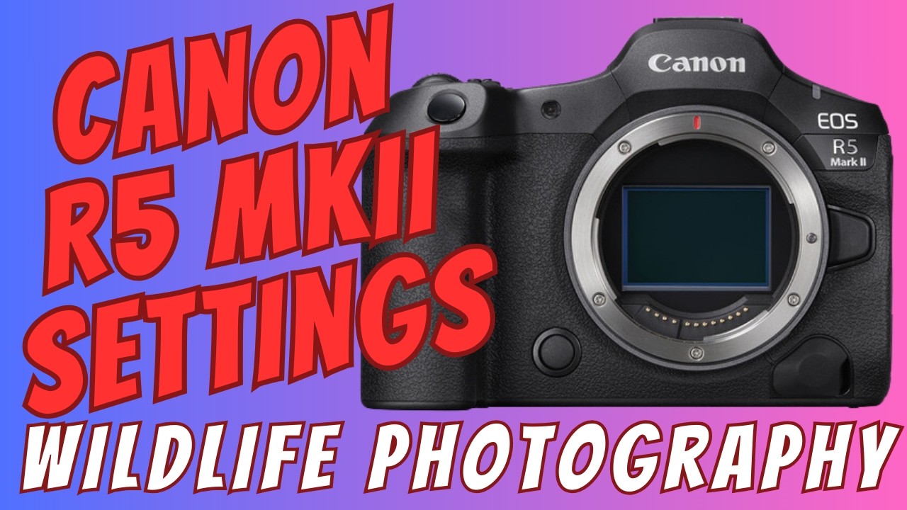 CANON R5 MKII- Autofocus Setup and Button Layout for Bird and Wildlife ...