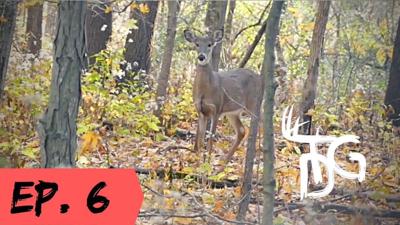 EP. 6 - "Ground Hunting Rut Days On Public Land" - YouTube