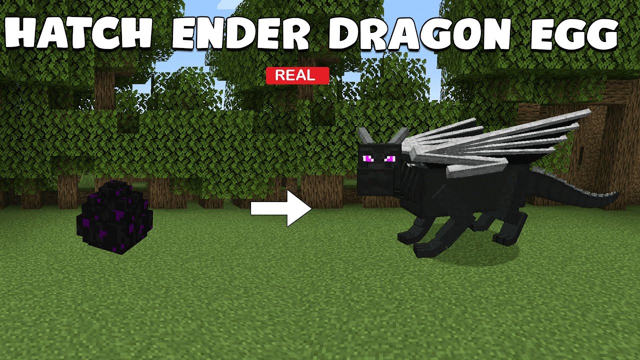 How to Hatch the Ender Dragon Egg in Minecraft (2024) | WORKING TRICK ...