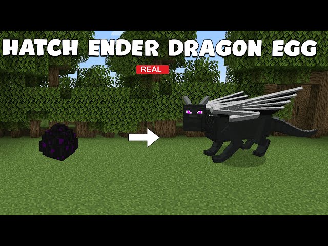 Minecraft Ender Dragon Egg Recipe