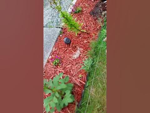 Digging small trenches for Sprinklers - Primer on Small tasks for ...