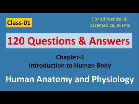 Anatomy physiology question and answers | Introduction to human body ...