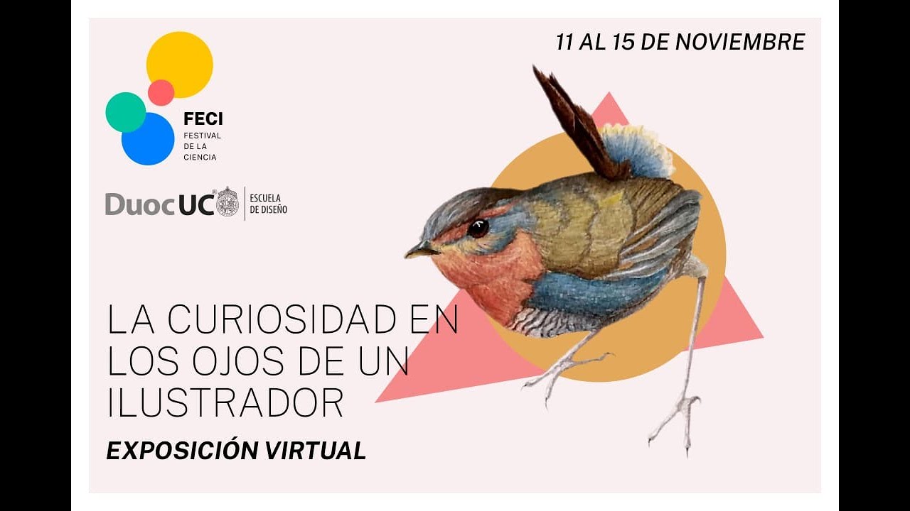 La curiosidad en los ojos de un ilustrador: Exposición virtual - YouTube