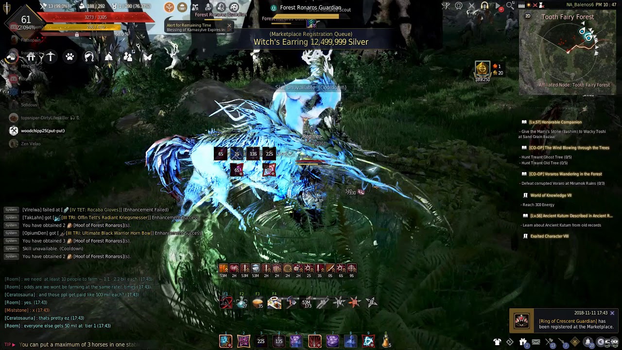 BDO Ninja- Ronaros~ - YouTube