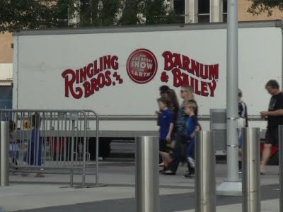 Circus Show-Goers React to Circus Closing - YouTube