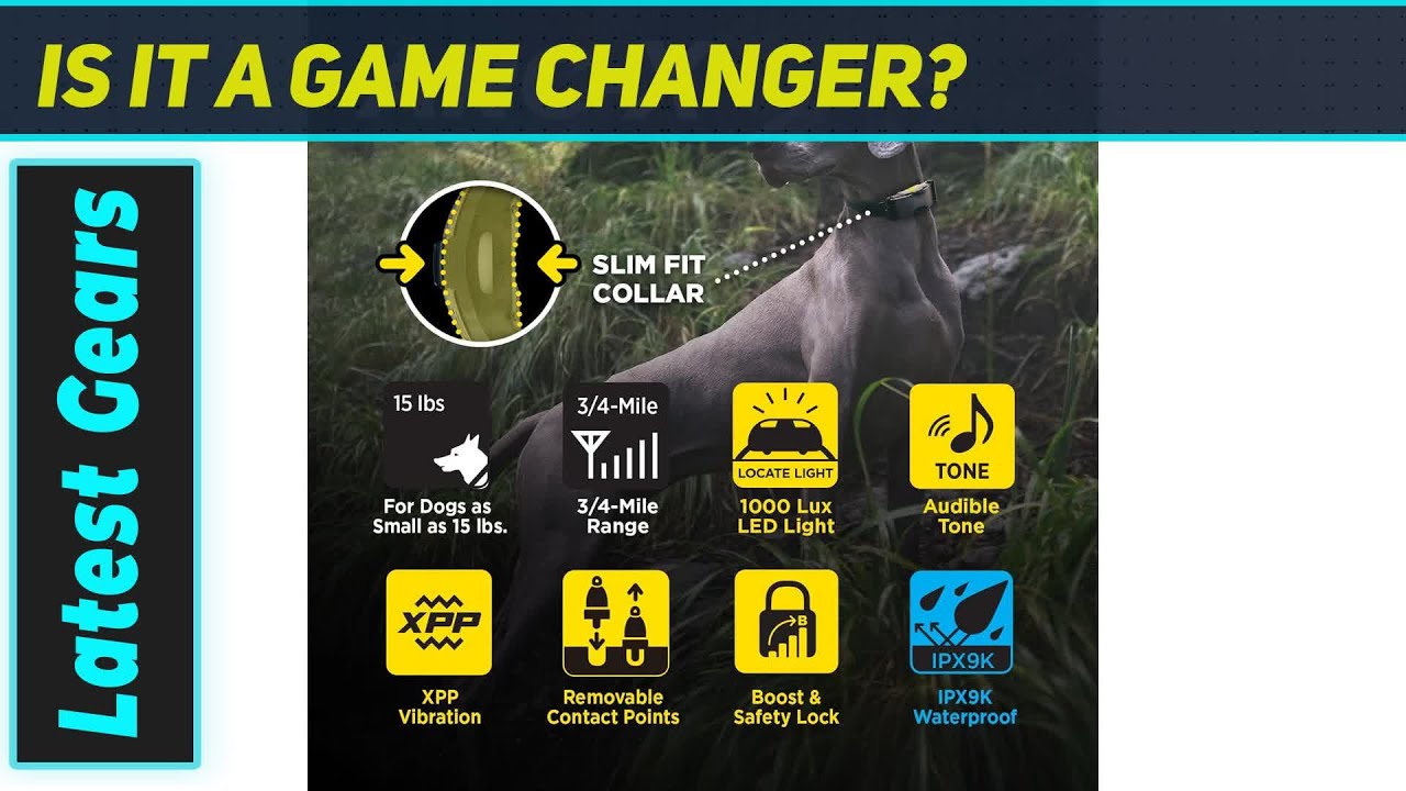 Dogtra ARC-X: The Ultimate Dog Training E-Collar? - YouTube