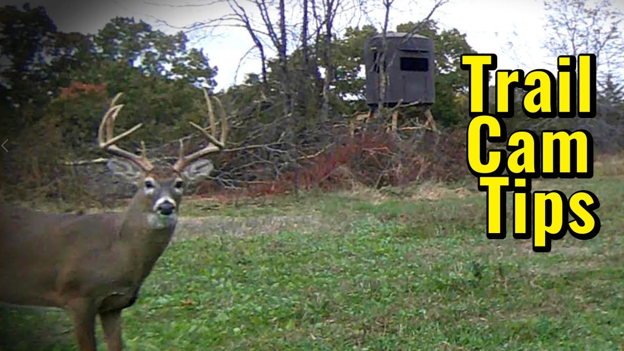 Make your BAD trail cam setup into a success!! - YouTube