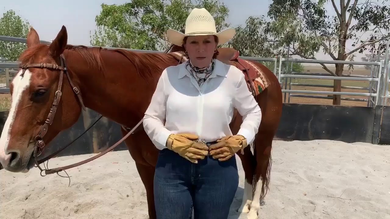 Ranch Riding Attire - YouTube
