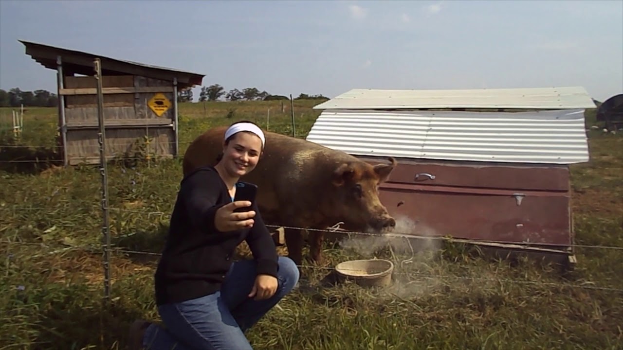 Owens Farm: Promotional Video - YouTube