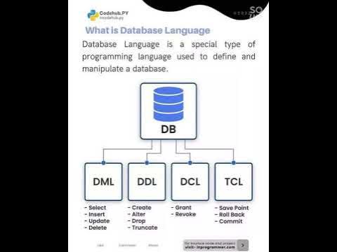 DBMS Language Database Language #dbmstutorials #database - YouTube