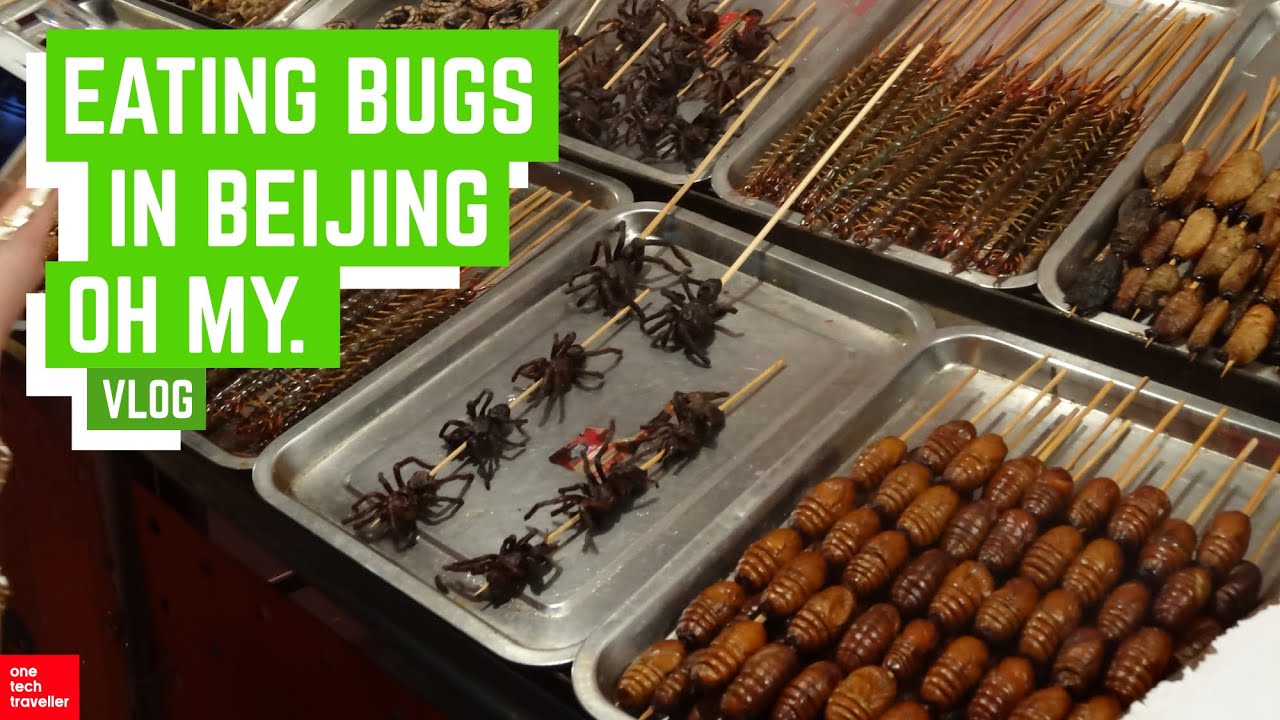 Eating Bugs in Beijing 😱 Wangfujing Street, China - YouTube