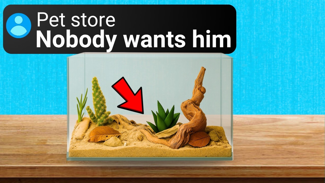 I Bought The Most Hated Animal From The Pet Store - YouTube