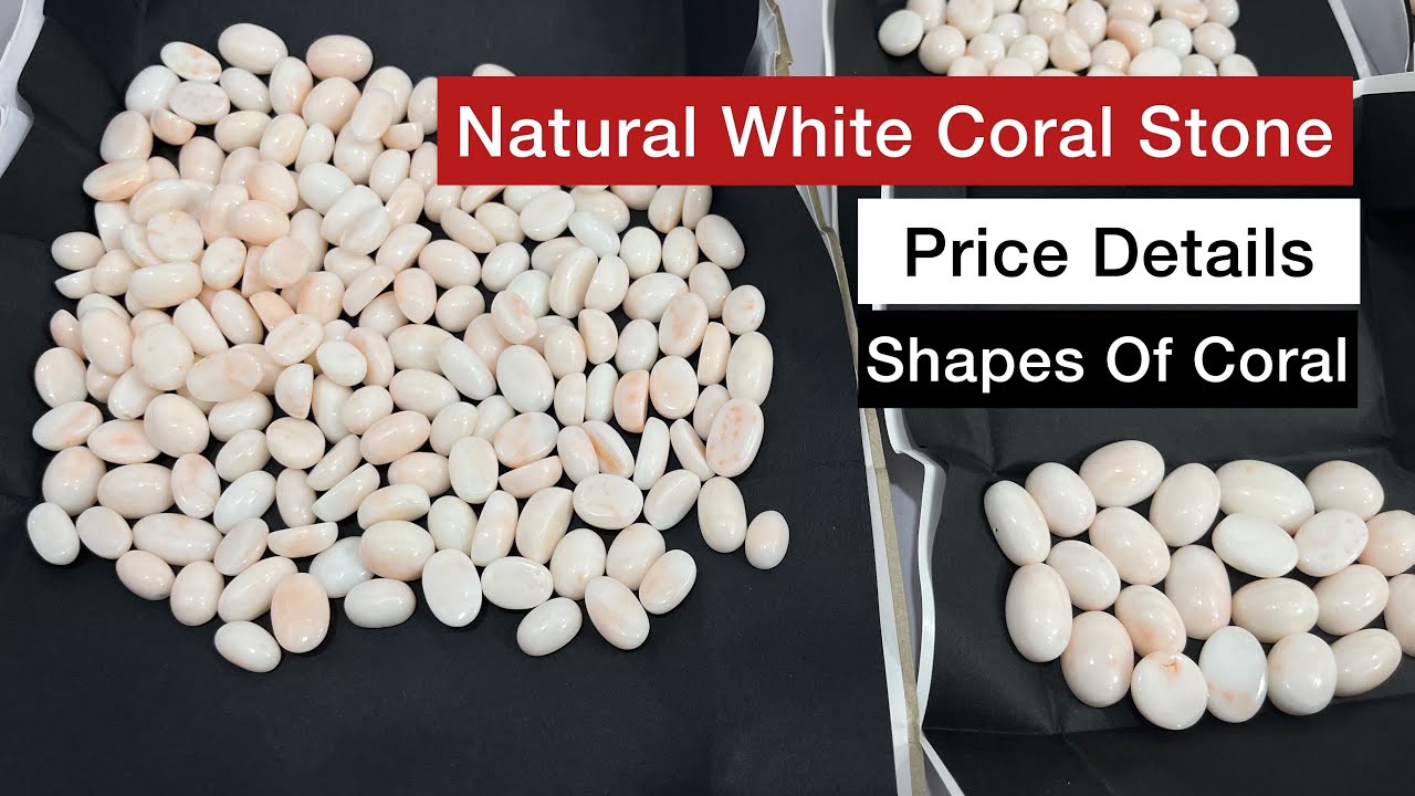 Natural WHITE CORAL PRICE | Shapes of White coral stone with price ...