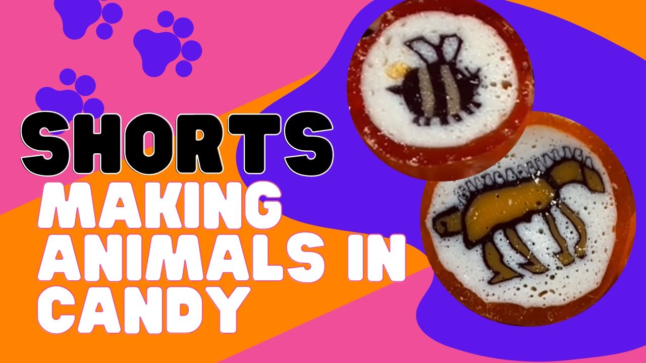 Sticky Animal Candy Compilation |BEST ANIMAL SHORTS| - YouTube