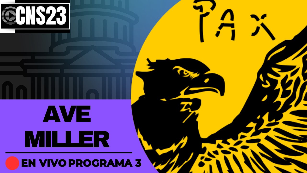 AVE MILLER- PROGRAMA 3 - YouTube