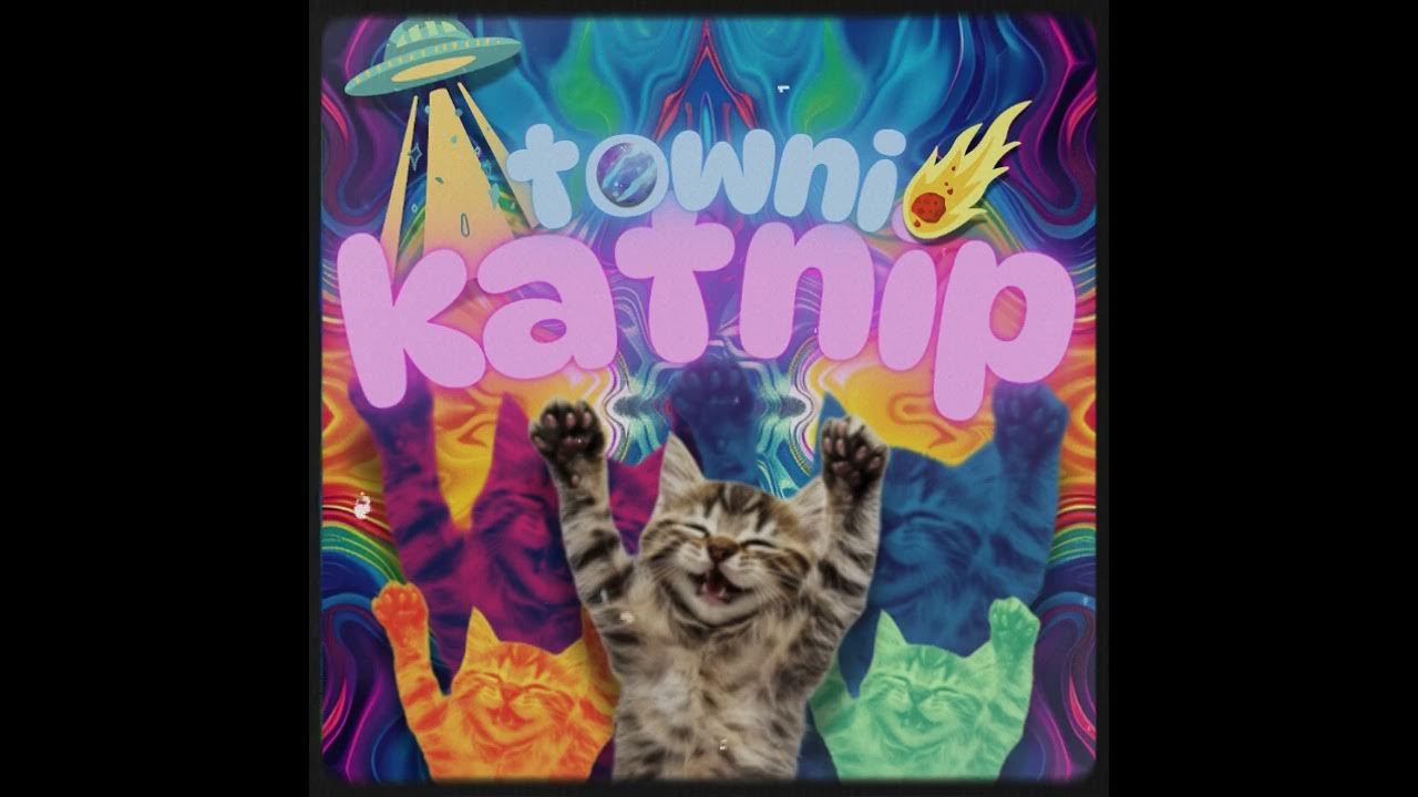 KATNIP - YouTube