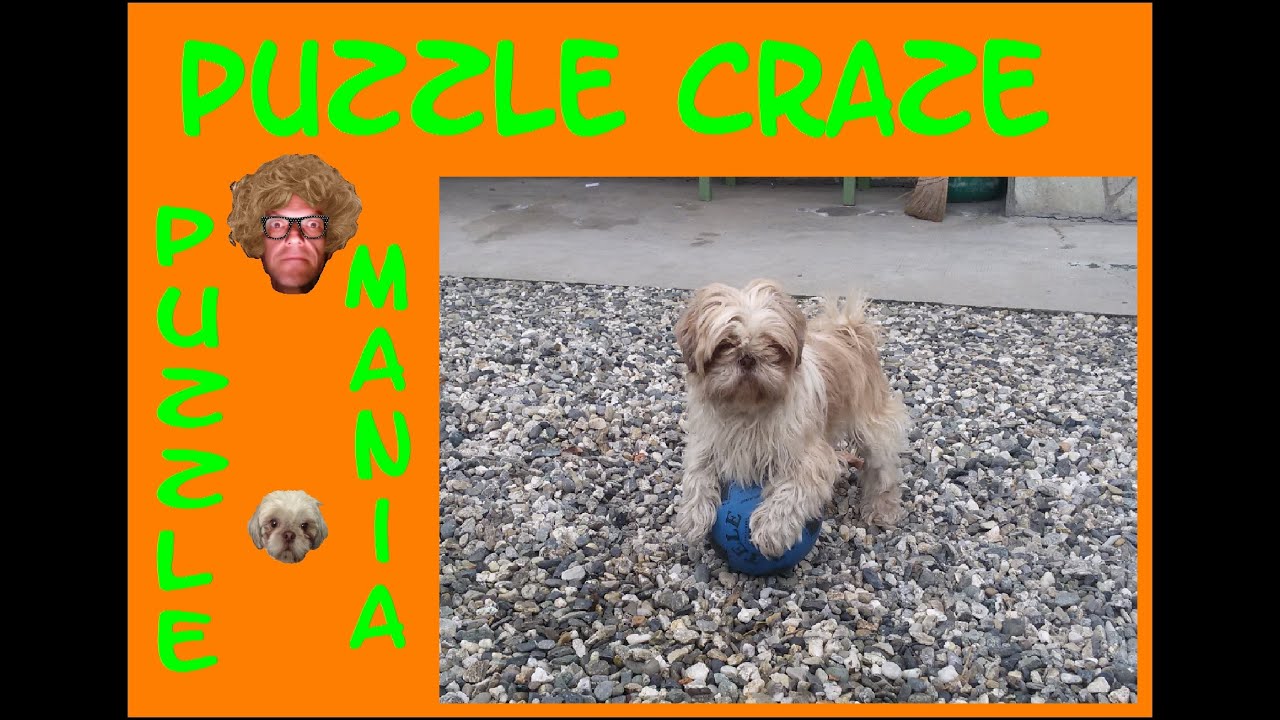 Puzzle craze 1 ; Puzzle mania (Animals). - YouTube