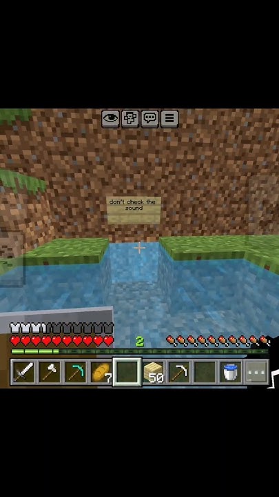 Dont Check The Sound Minecraft Shorts 4g4 Youtube