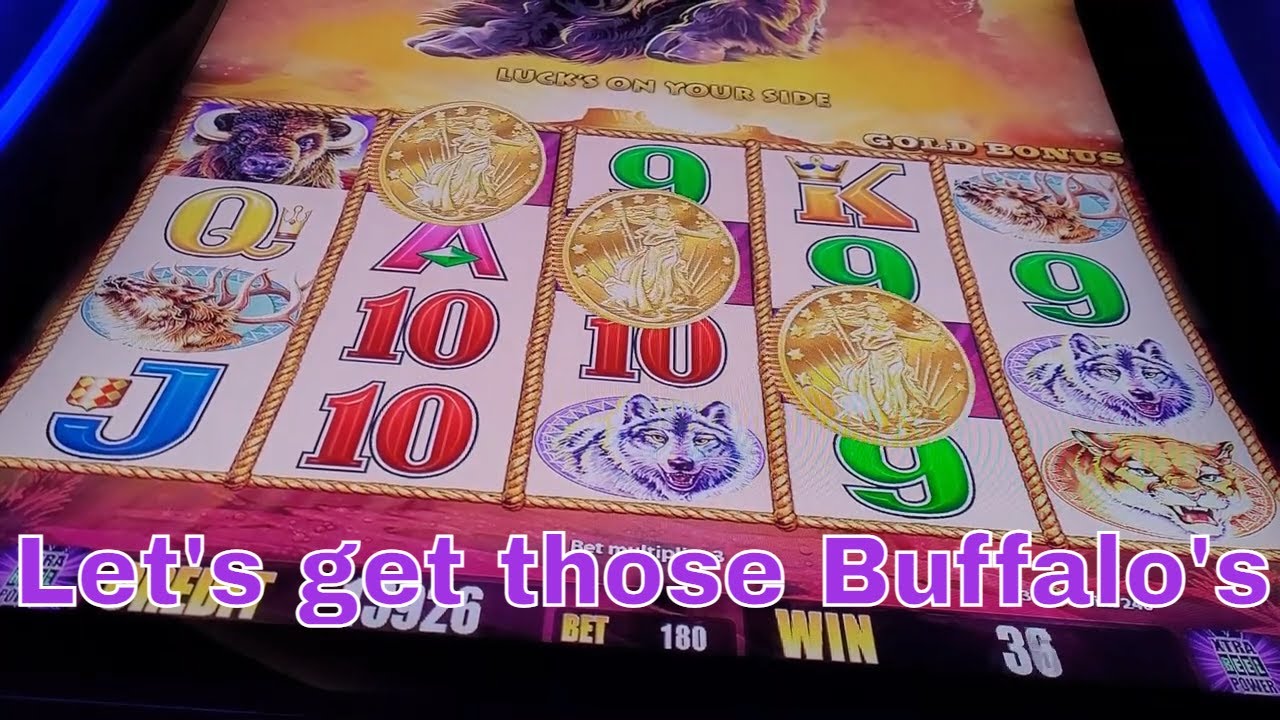 GREAT BUFFALO GOLD SLOTS SESSION! - YouTube