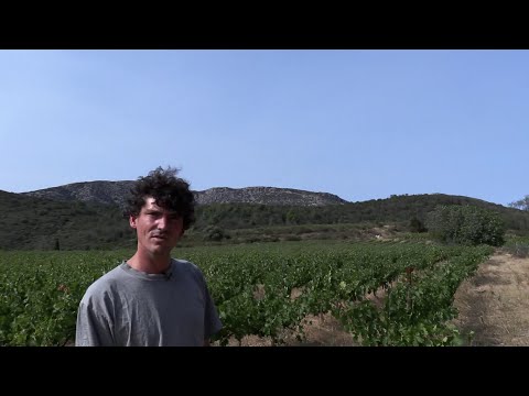 VINCENT KOLF - Le dernier des Mohicans