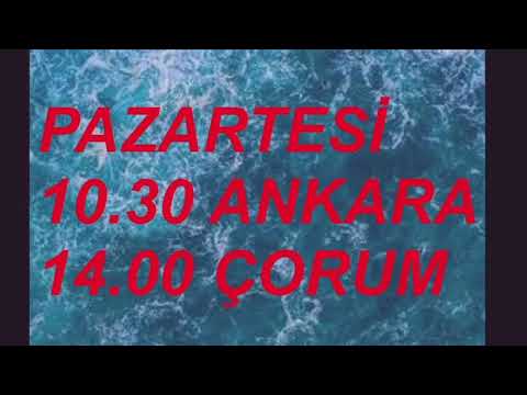 BURSA TERMİNAL KALKAN OTOBÜSLER 13.00 13.30 14.00 14.30 15.00 15.30 16.00  6.30 17.00 18.00 19.00